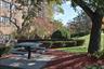 Pynchon / Edgewater affordable apartments in Springfield, MA found at ...